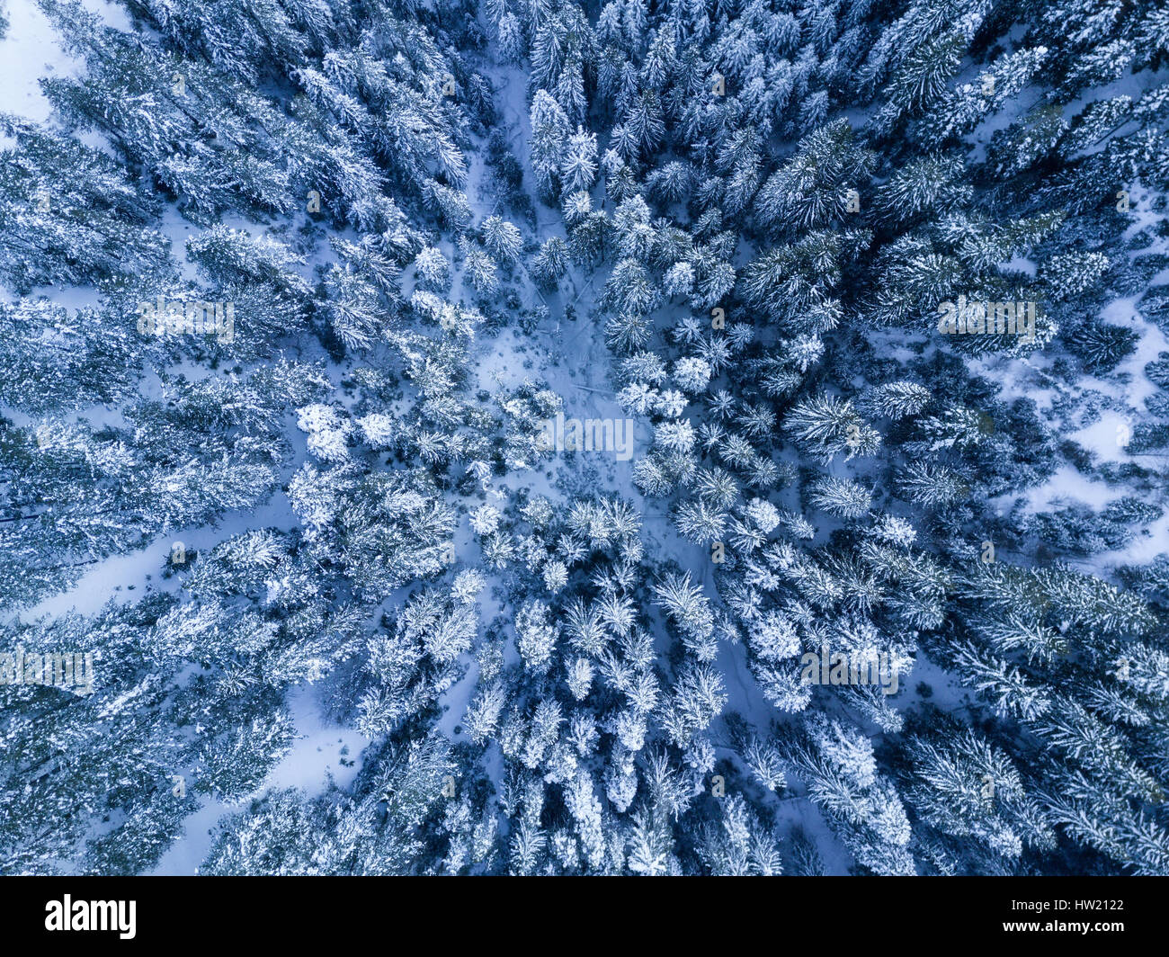 Aerial birds eye view hi-res stock photography and images - Alamy