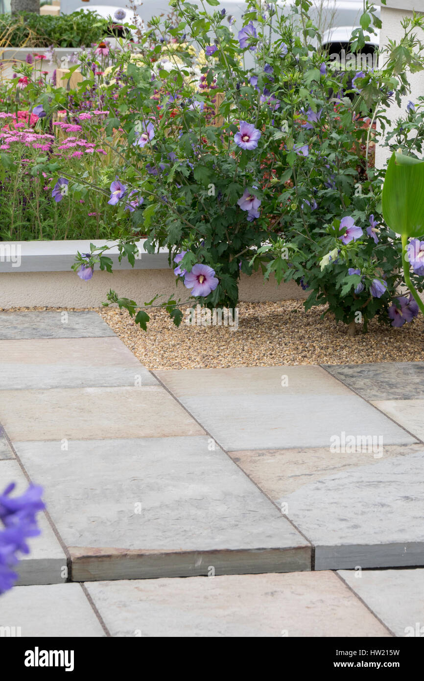 RHS Tatton flower show Stock Photo - Alamy