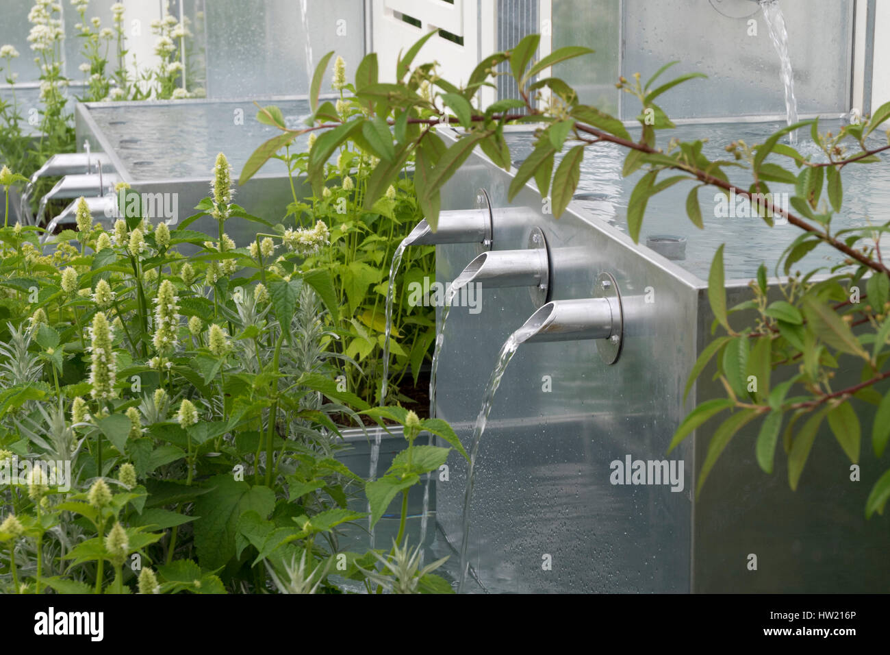 RHS Tatton flower show Stock Photo - Alamy