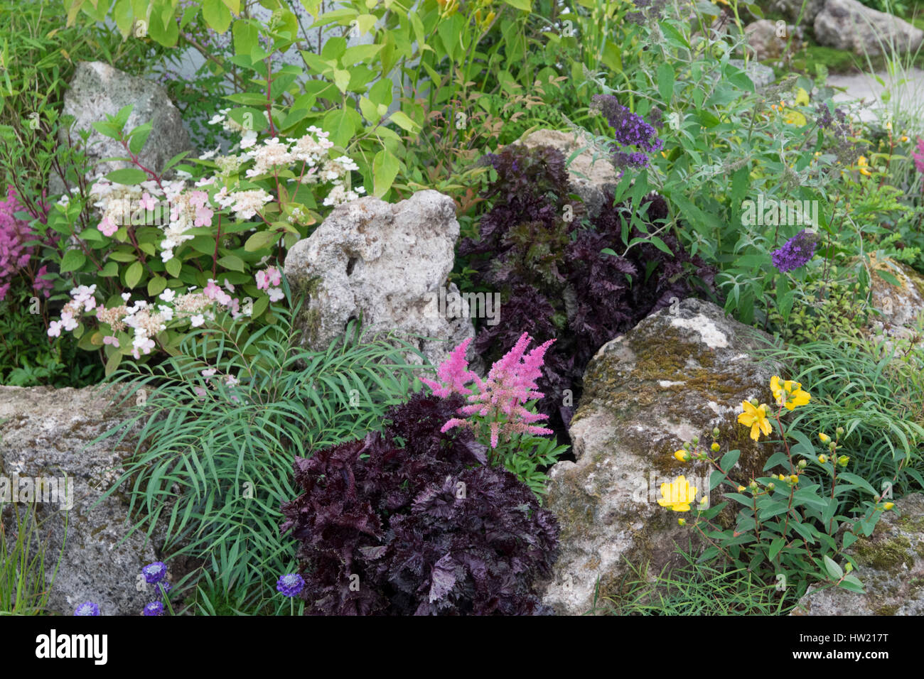 RHS Tatton flower show Stock Photo - Alamy