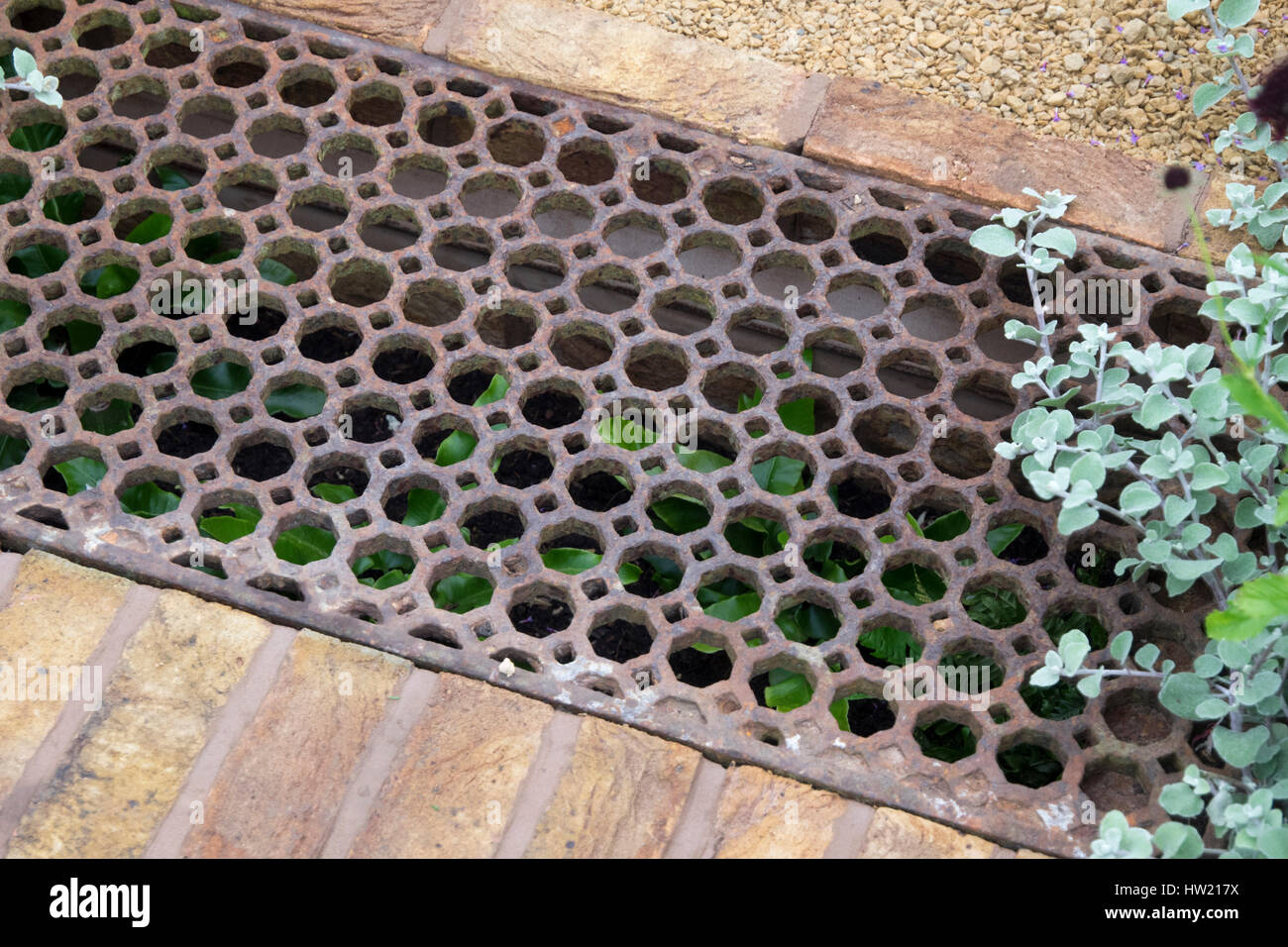 RHS Tatton flower show Stock Photo - Alamy