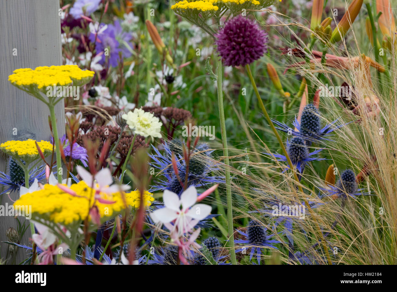 RHS Tatton flower show Stock Photo - Alamy