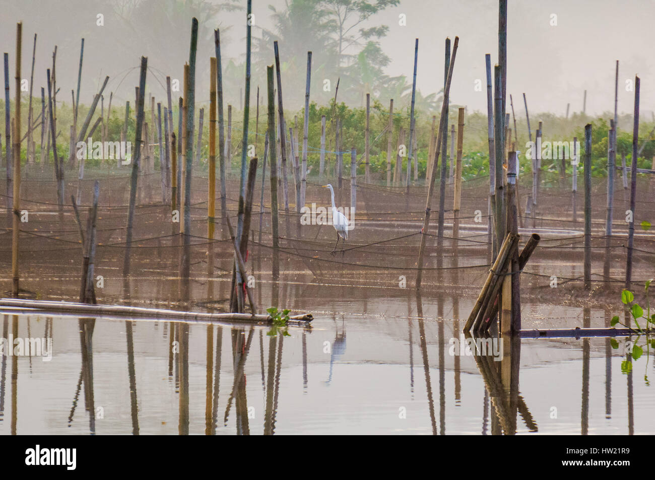Landscape of Rawa Pening Lake Semarang Central Java Indonesia Stock ...