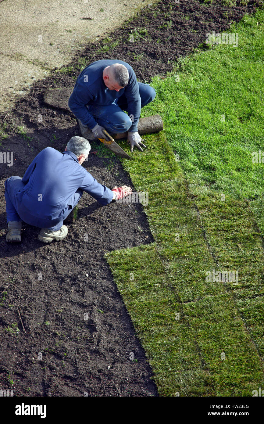 Gardeners laying new turf Stock Photo - Alamy