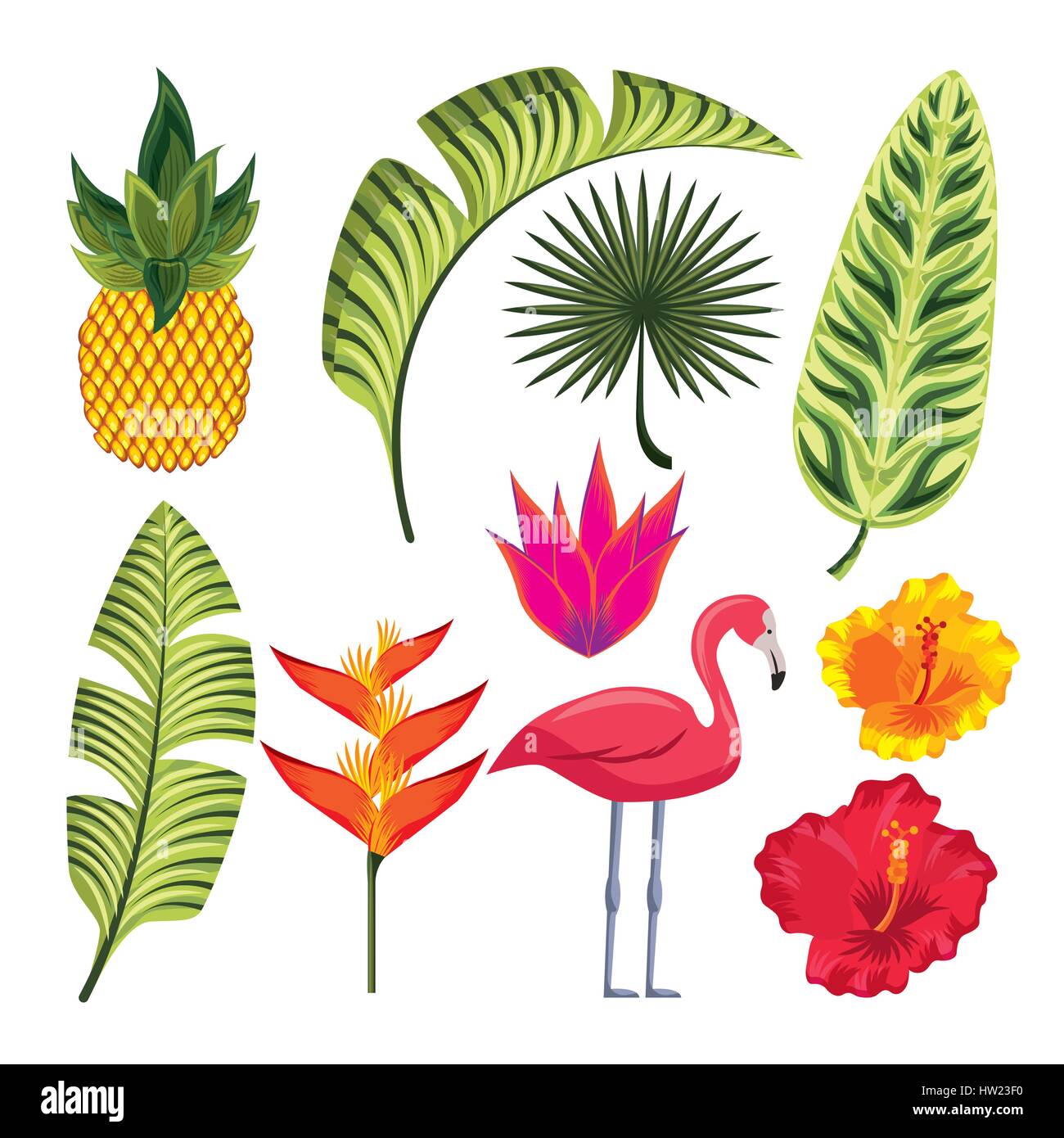 tropical flower design Stock Vector Image & Art - Alamy