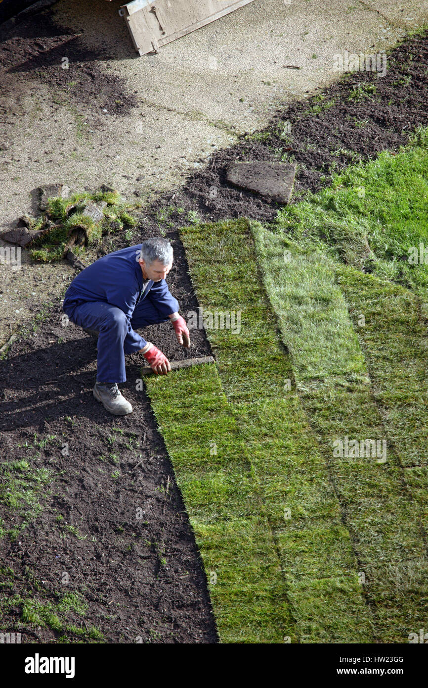 Gardeners laying new turf hi-res stock photography and images - Alamy