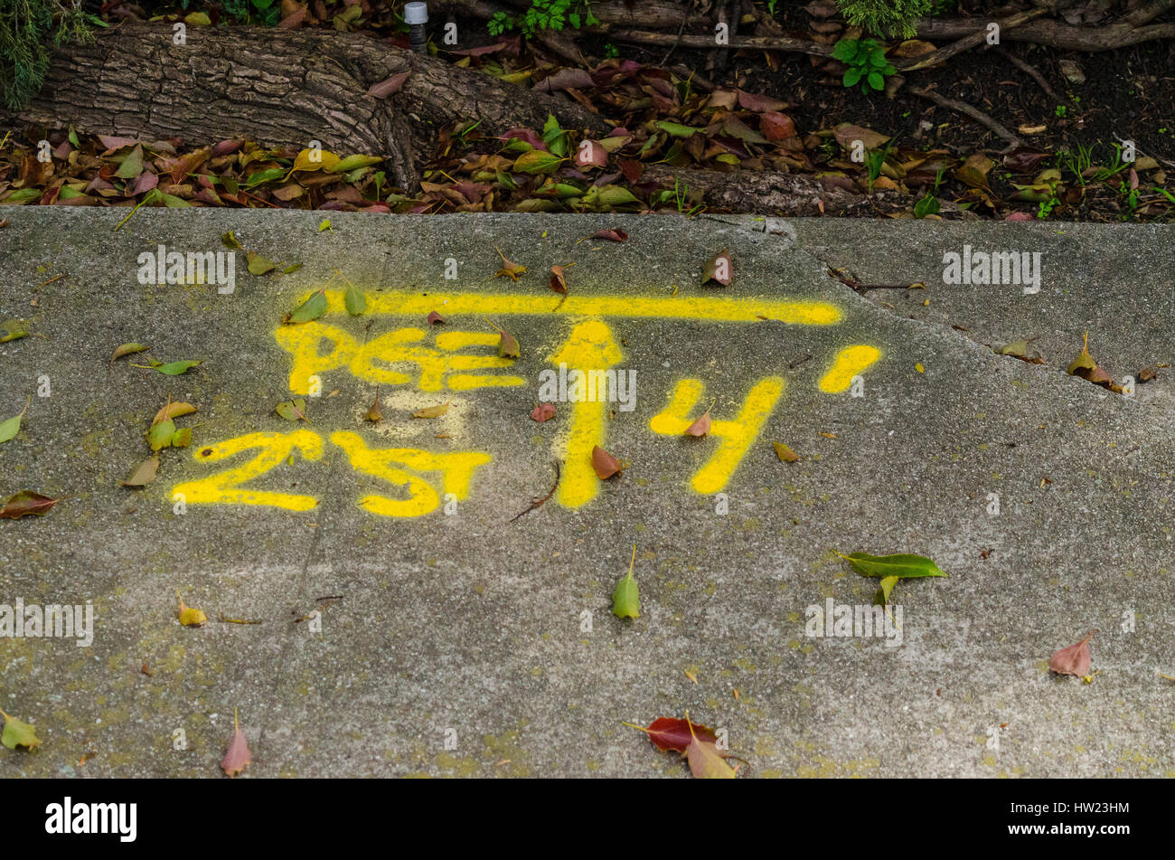 Marks on a sidewalk indicating a 2 inch steel gas line is buried ...