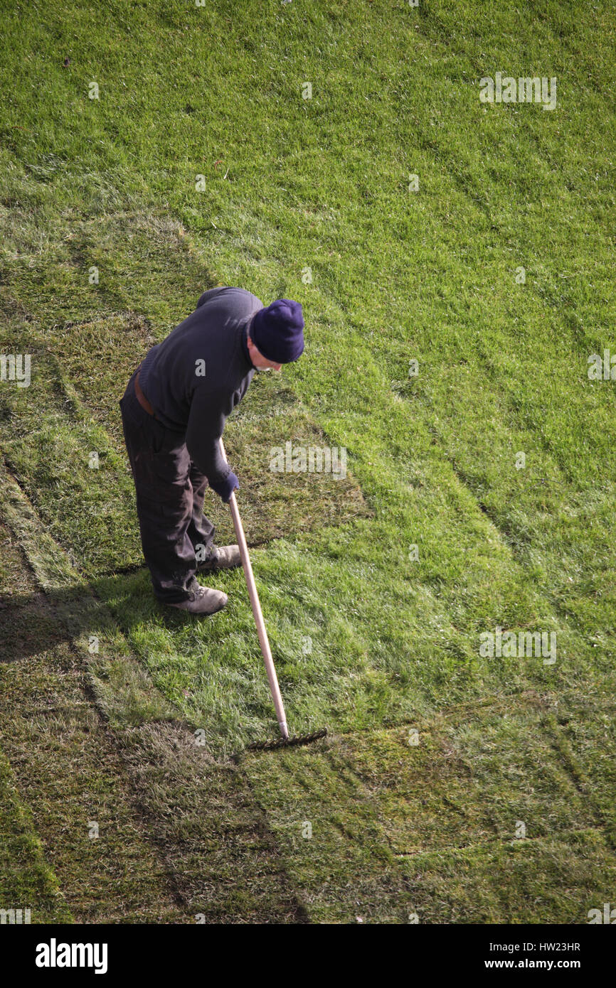 Gardeners laying new turf Stock Photo - Alamy