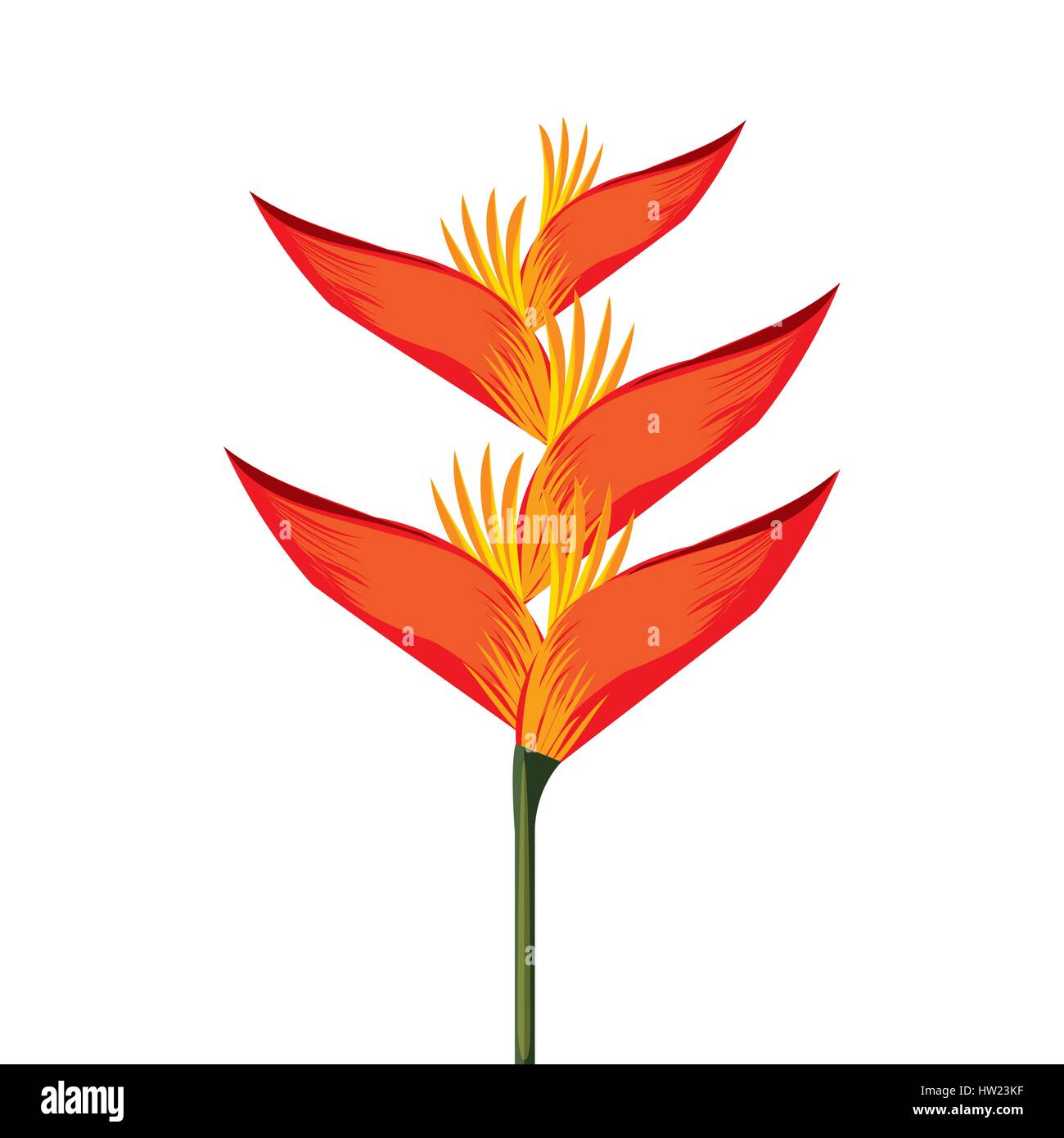 tropical flower icon Stock Vector Image & Art - Alamy