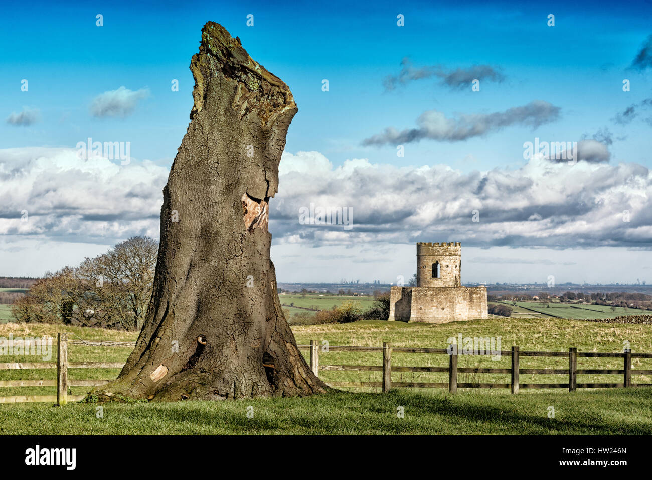 Tree trunk and Oliver Duckett Folly Stock Photo - Alamy
