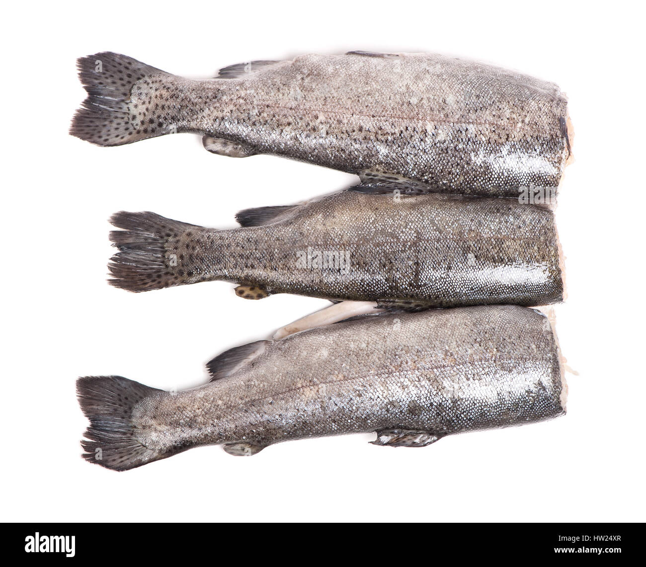 Gutted trout fishes isolated on white background Stock Photo - Alamy