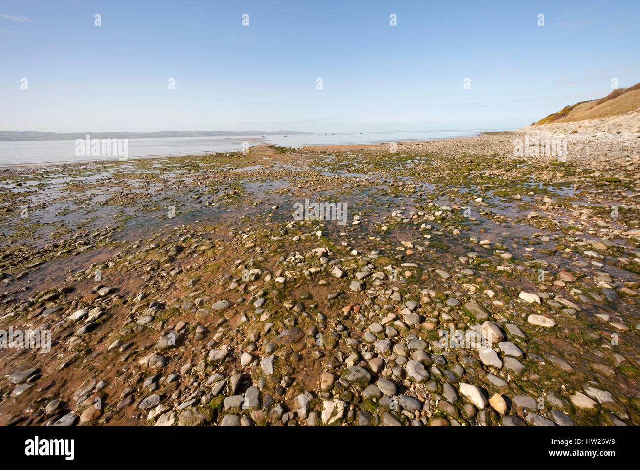 Dee estuary bird hi-res stock photography and images - Alamy