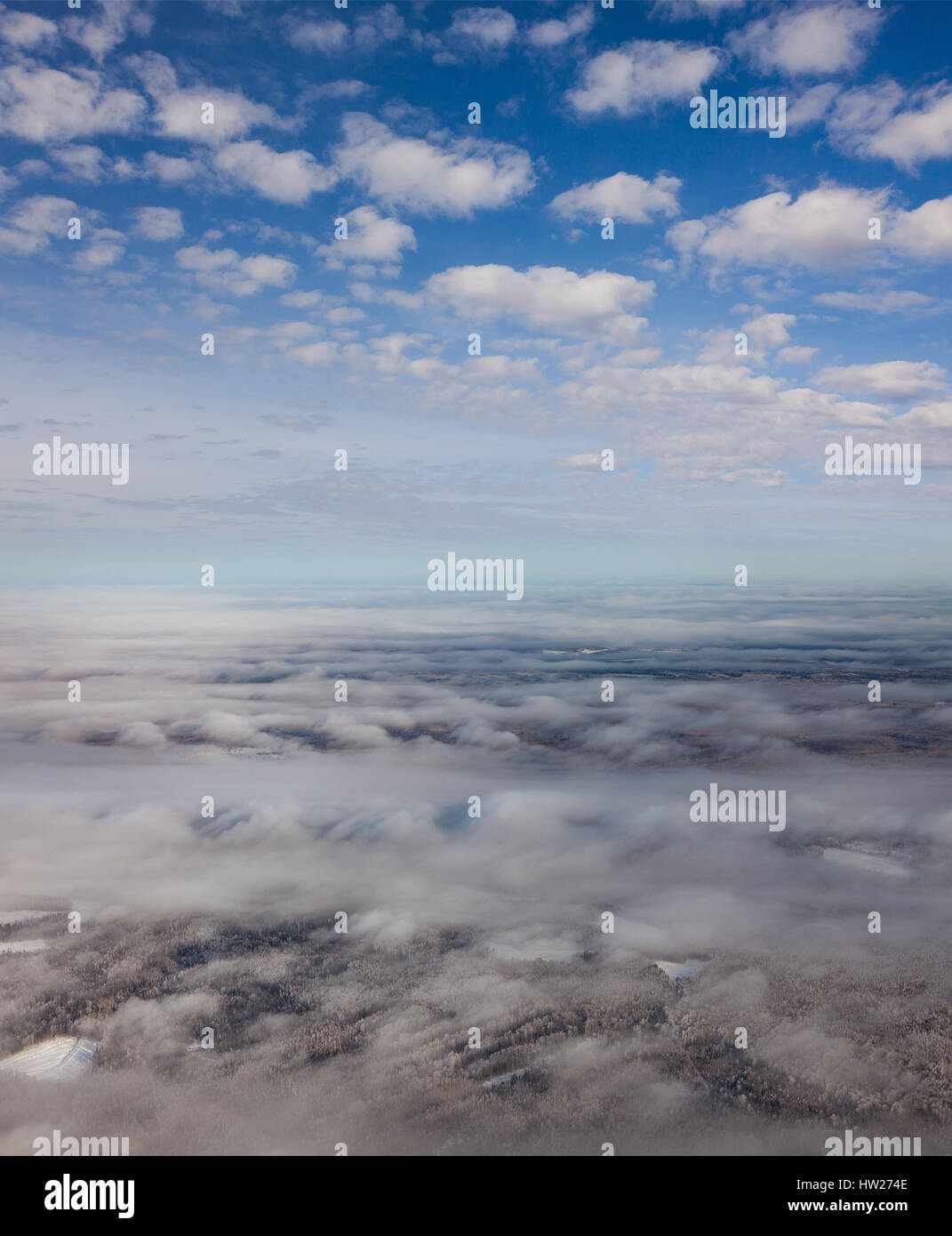 Wooded plain in winter, top view Stock Photo - Alamy
