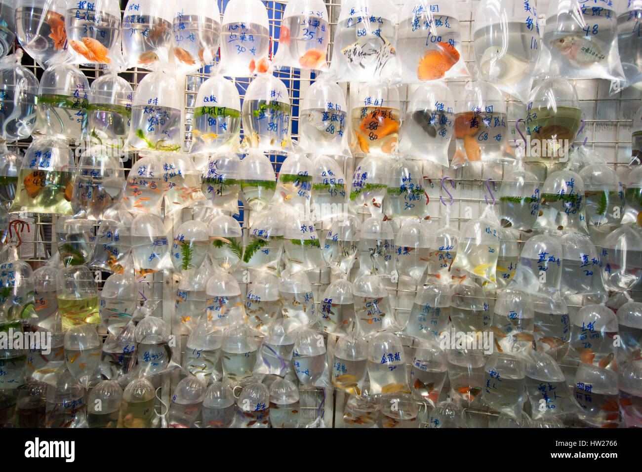 China river of plastic hi-res stock photography and images - Alamy
