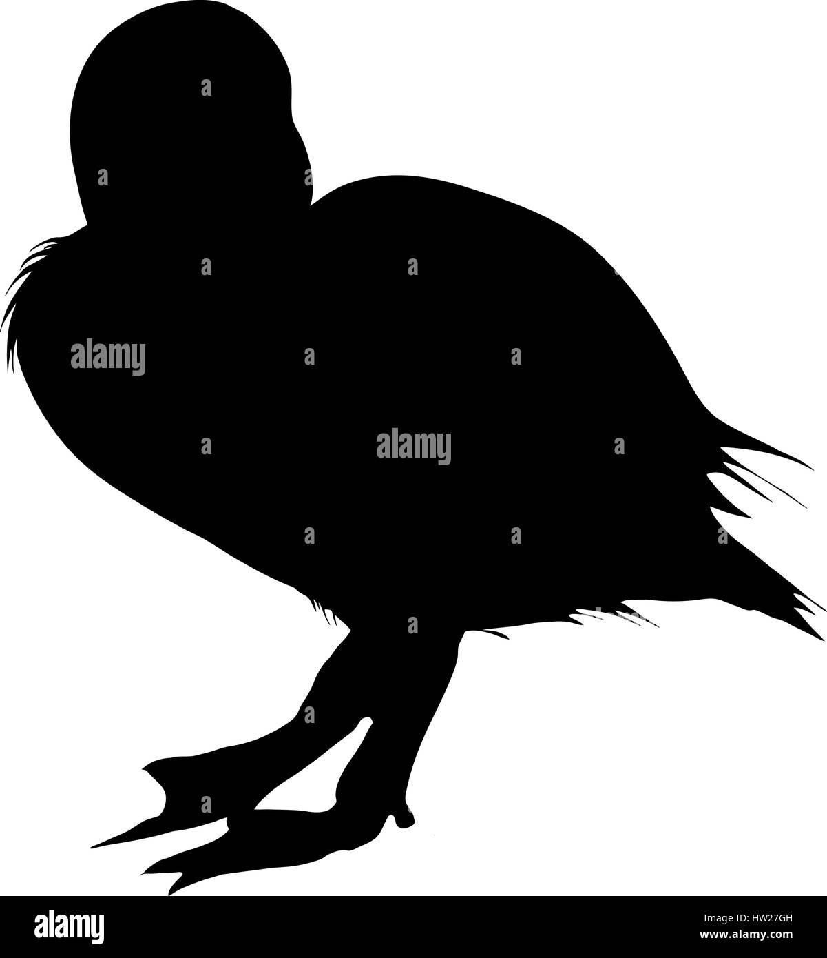 Duck national park Black and White Stock Photos & Images - Alamy