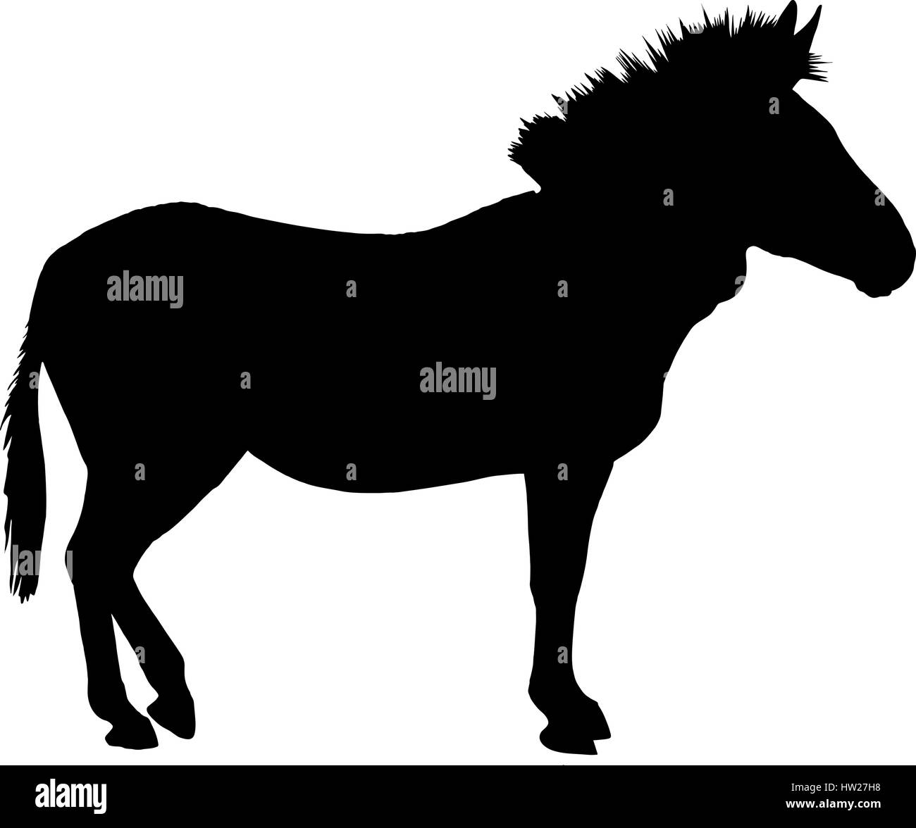 Silhouette of a standing zebra, side view Stock Vector Image & Art - Alamy