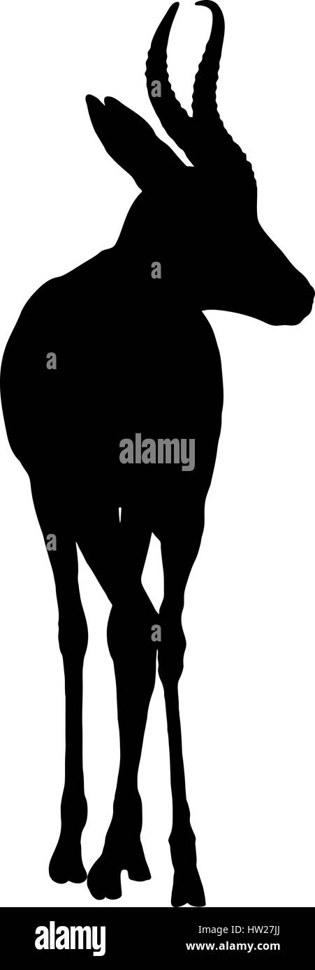 Silhouette of a standing springbok antelope Stock Vector Image & Art ...