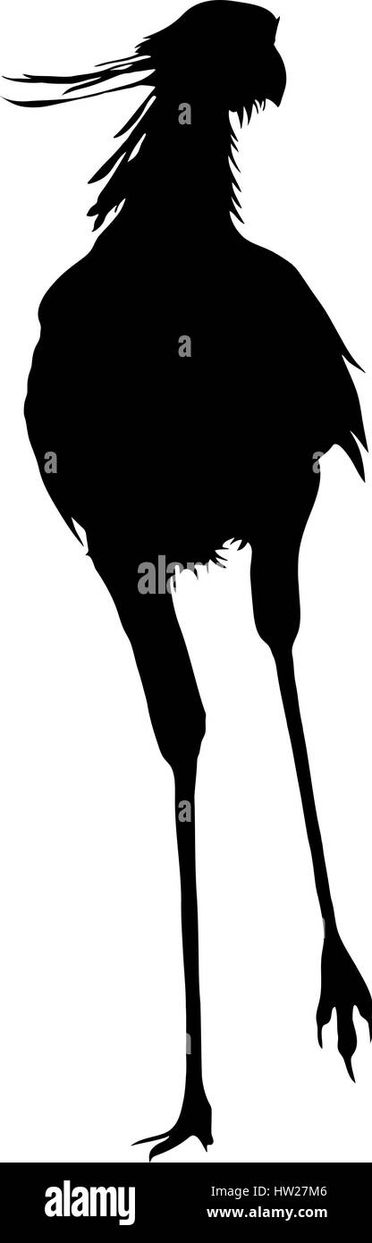 Silhouette of a standing secretary bird Stock Vector Image & Art - Alamy