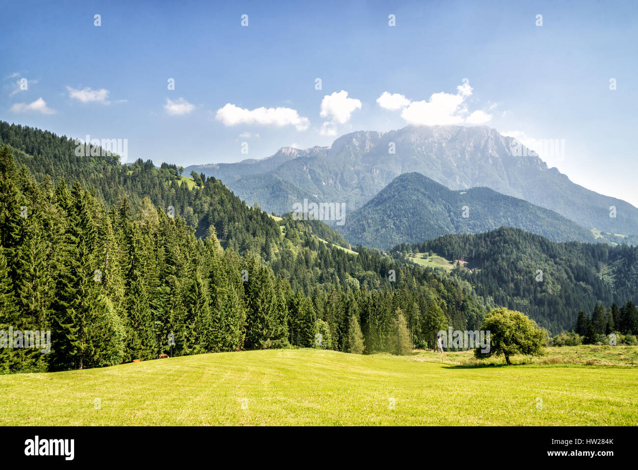 Green grass valley hi-res stock photography and images - Alamy