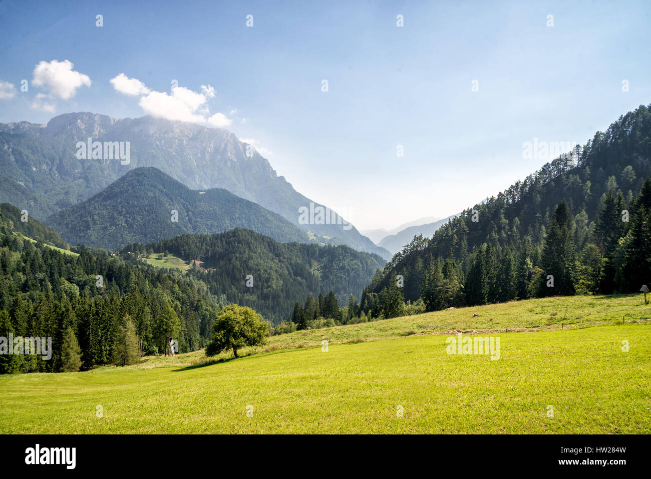 Green water green mountain hi-res stock photography and images - Alamy