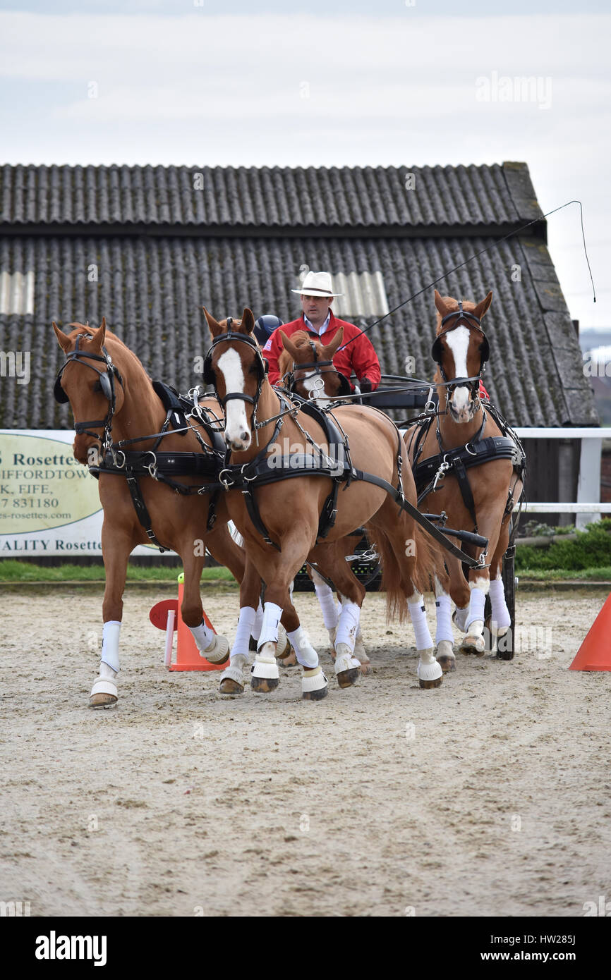 Wales, United Kingdom. March 12 2017. James Broome, 33, son of David ...