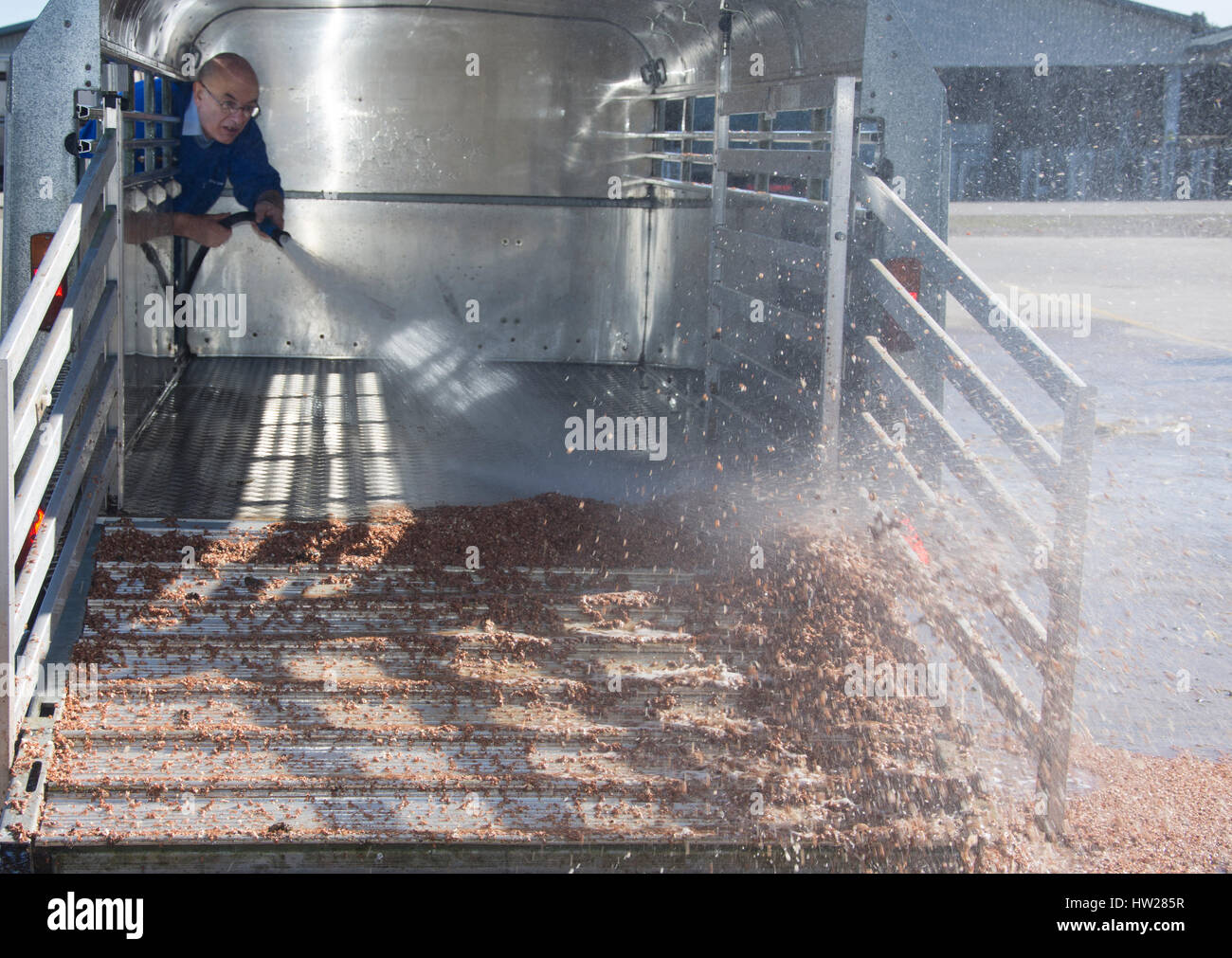 Animal gathering order hi-res stock photography and images - Alamy