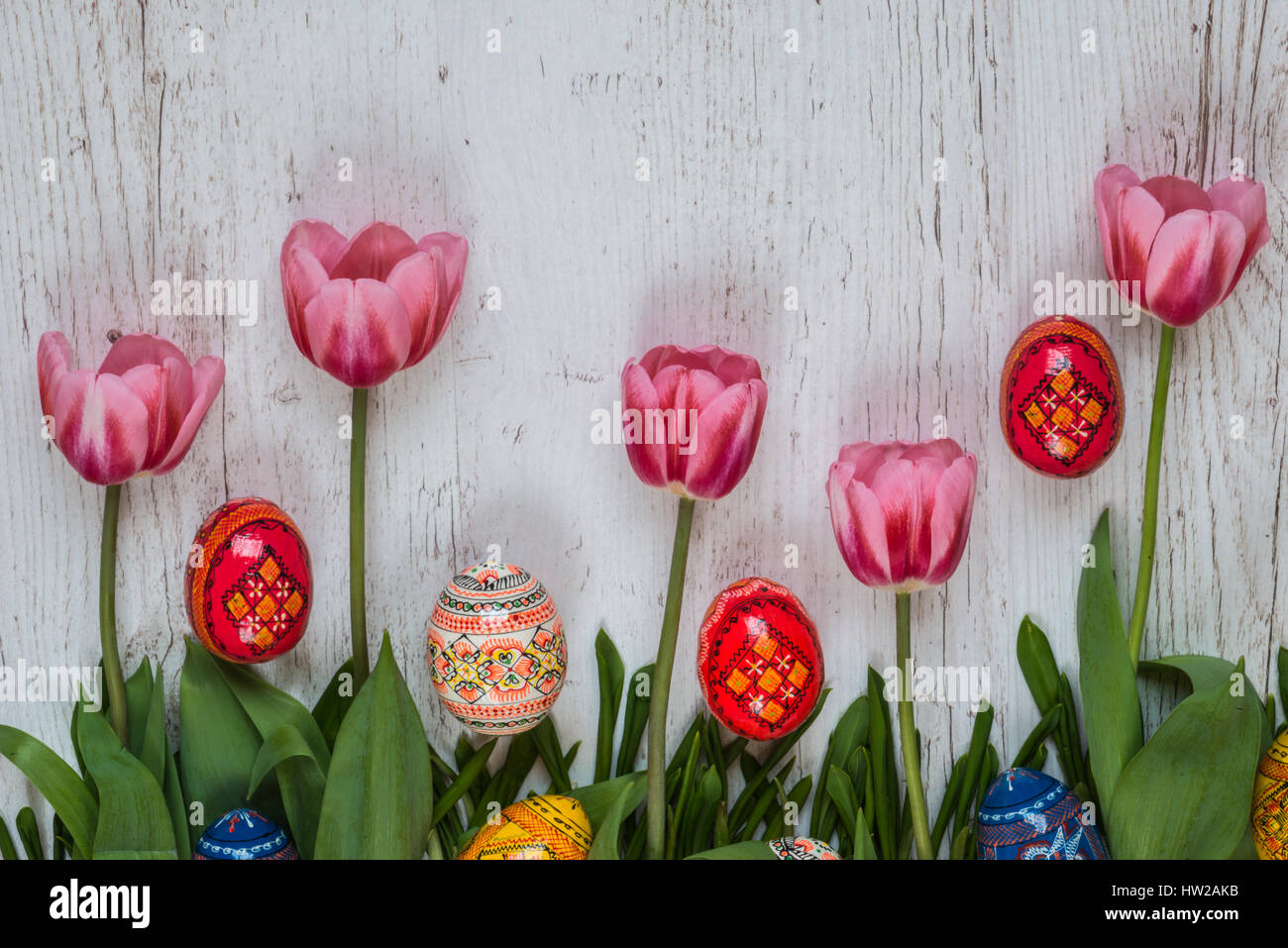 Easter Background with easter eggs and pink tulips on light wooden ...