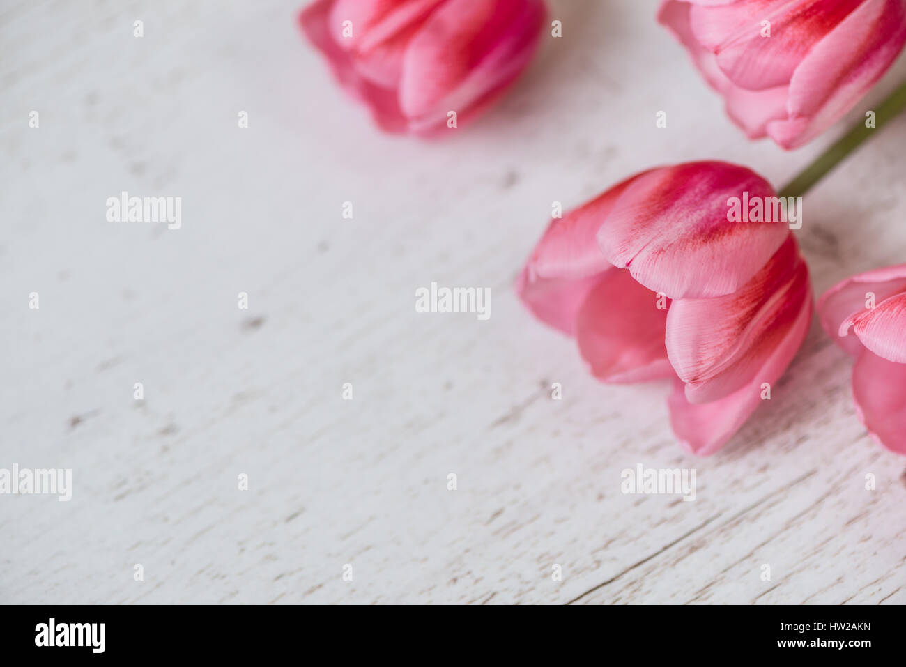 Floral wooden light hi-res stock photography and images - Alamy