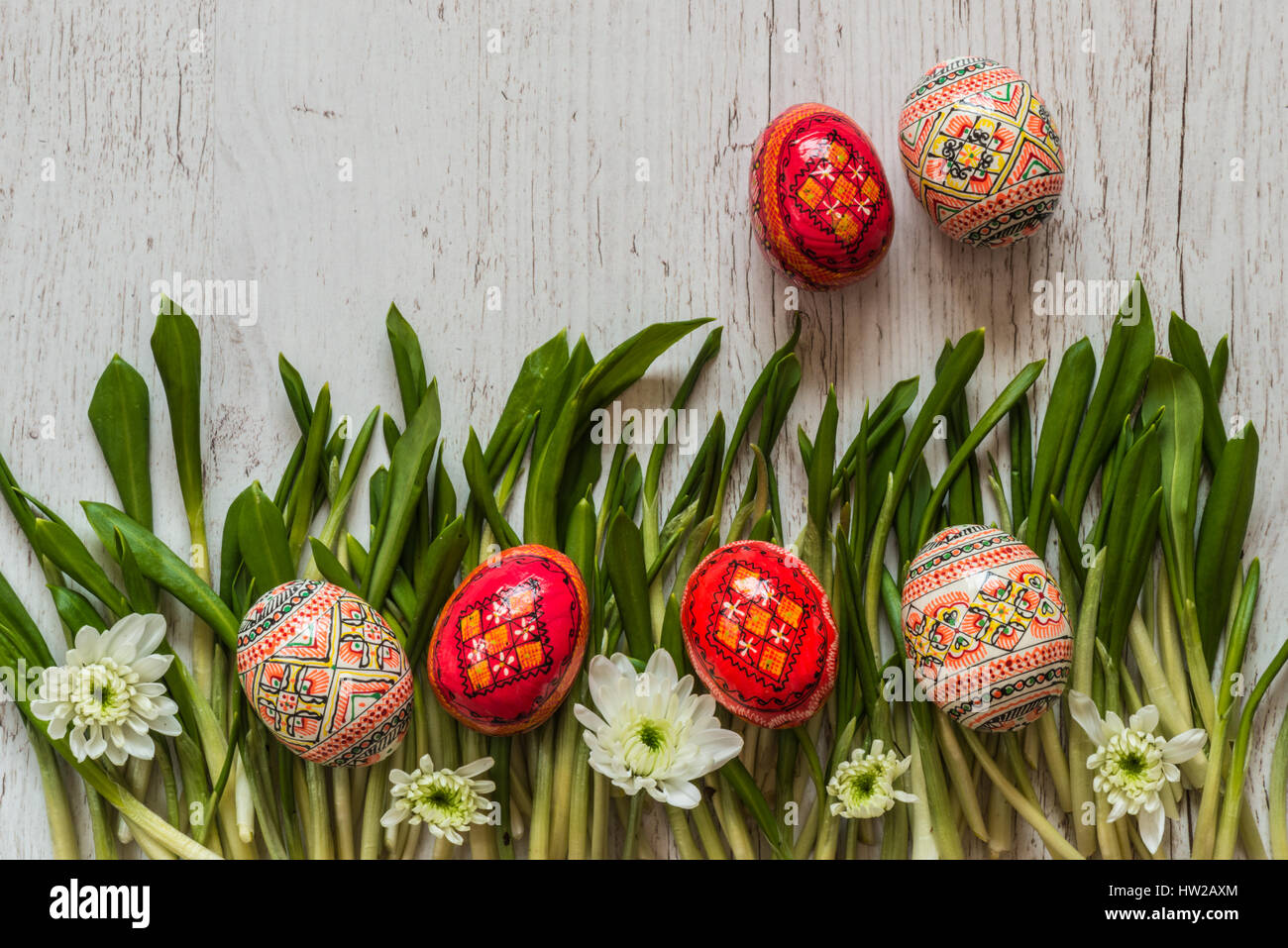 Easter Background with easter eggs and spring flowers on green grass ...