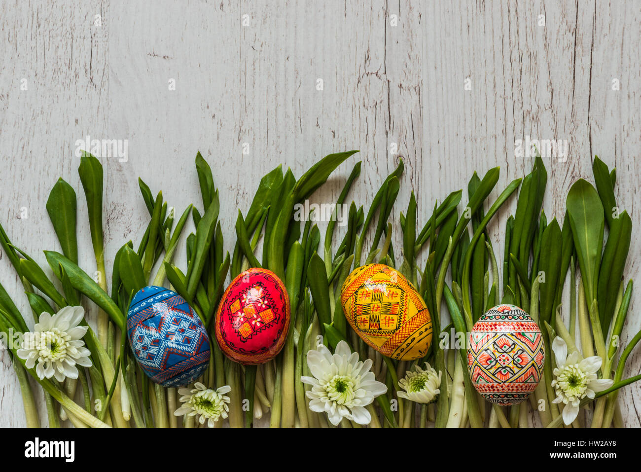 Easter Background with easter eggs and spring flowers on green grass ...
