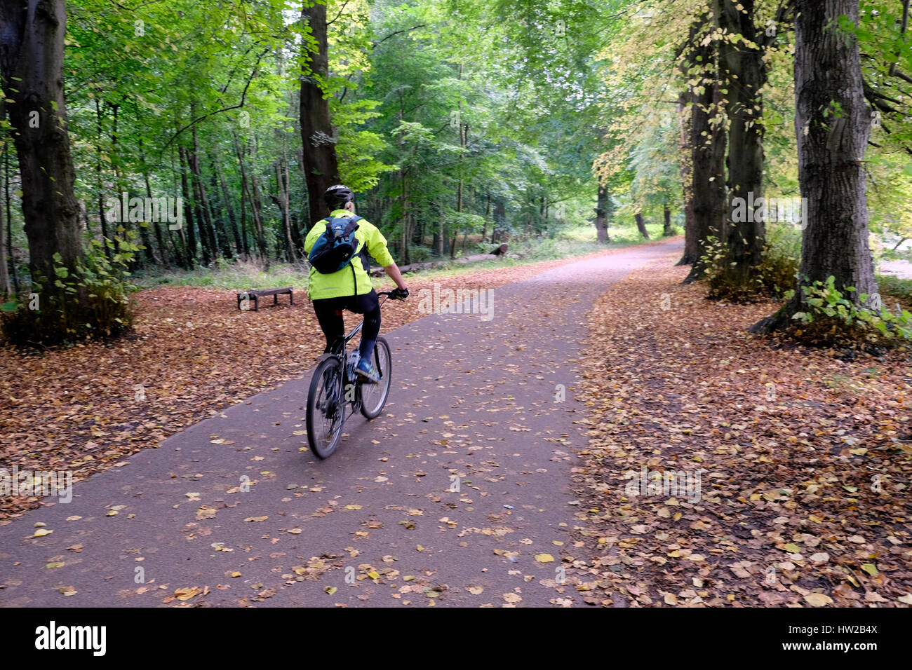 Rear view of man cycling along woodland Taff Trail in autumn at ...