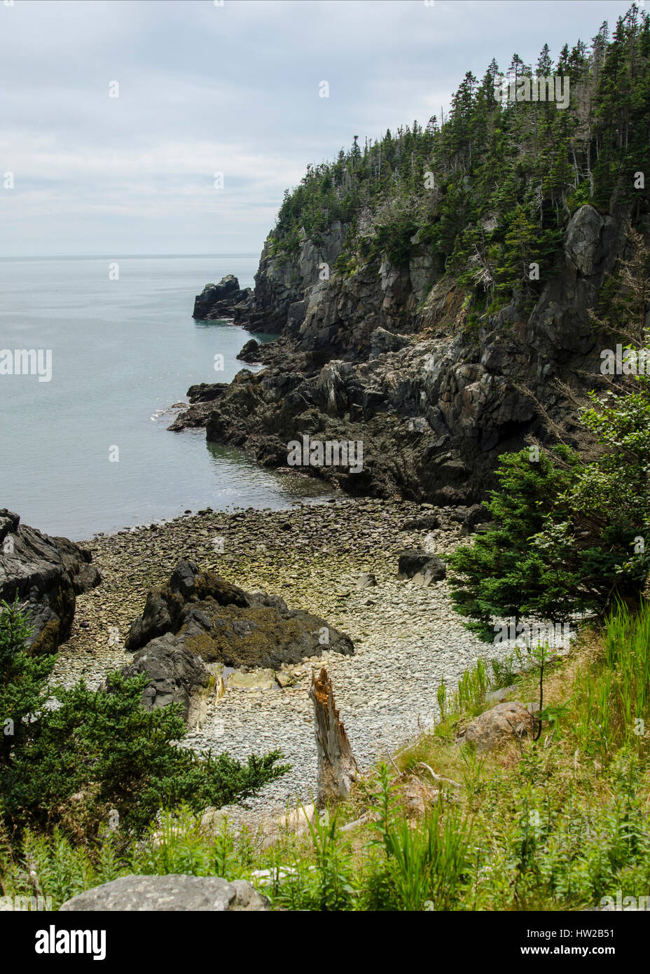 Quoddy Head State Park Stock Photo - Alamy