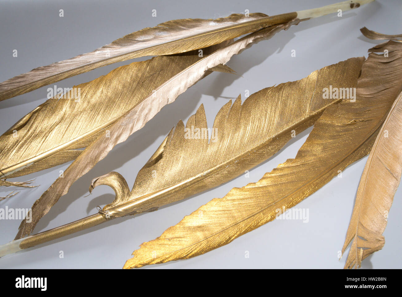 Feather Still Life Stock Photo - Alamy
