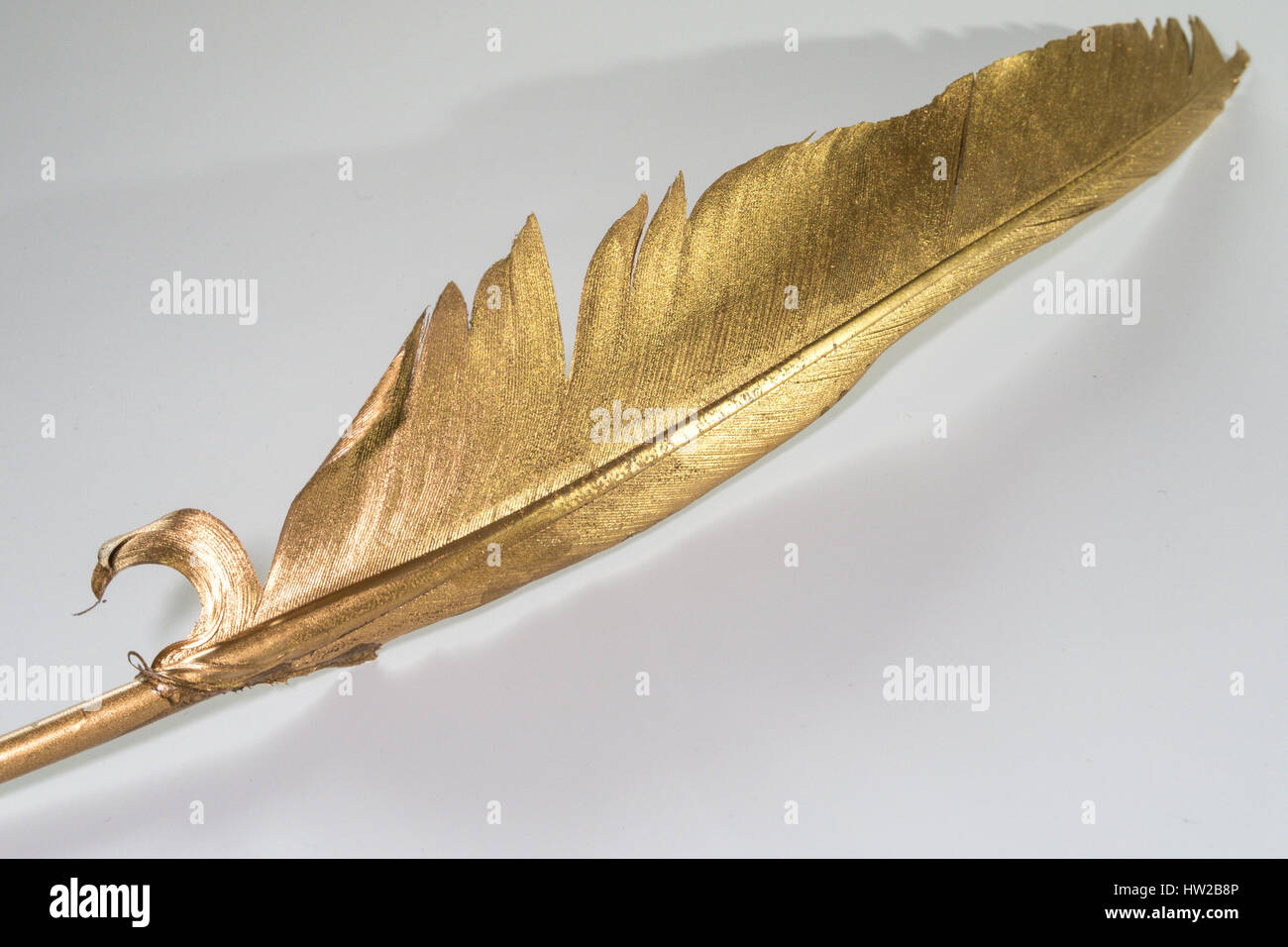 Feather Still Life Stock Photo - Alamy