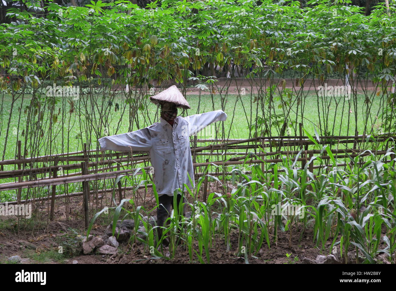Vietnam museum of ethnology in Hanoi Stock Photo - Alamy