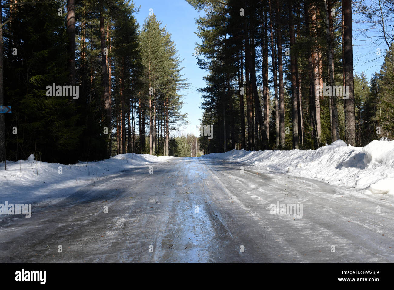 Slippery icy road through the forest with snow on both sides, picture ...