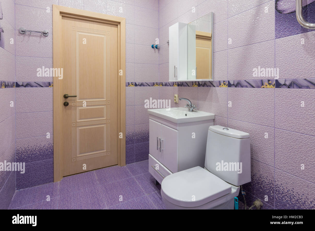 Interior of toilet room, view of the toilet, sink and the front door ...