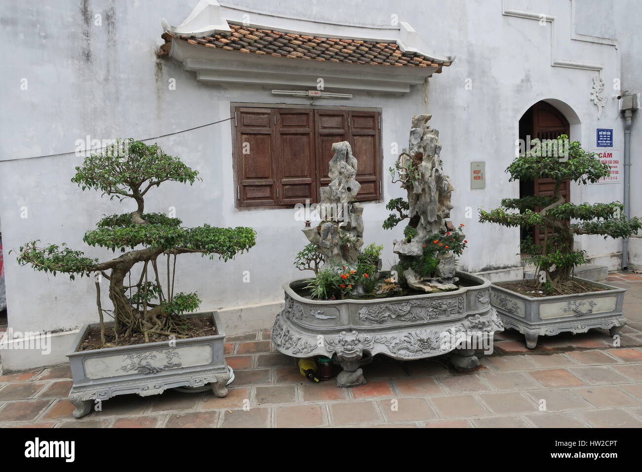 Bonsai tree on a yard at the temple in Hanoi, Vietnam Stock Photo - Alamy