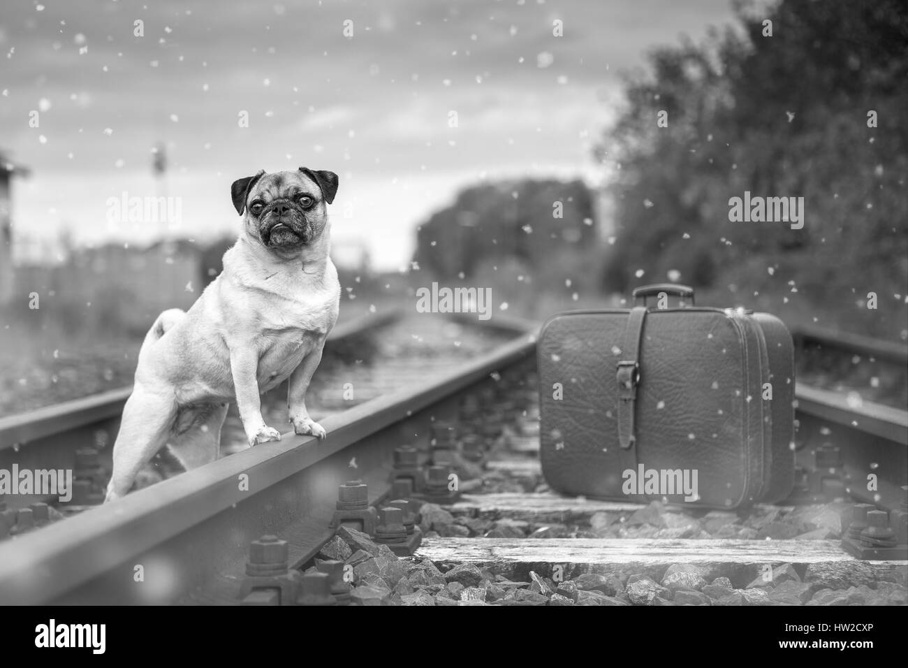 Long welded rail train Black and White Stock Photos & Images - Alamy