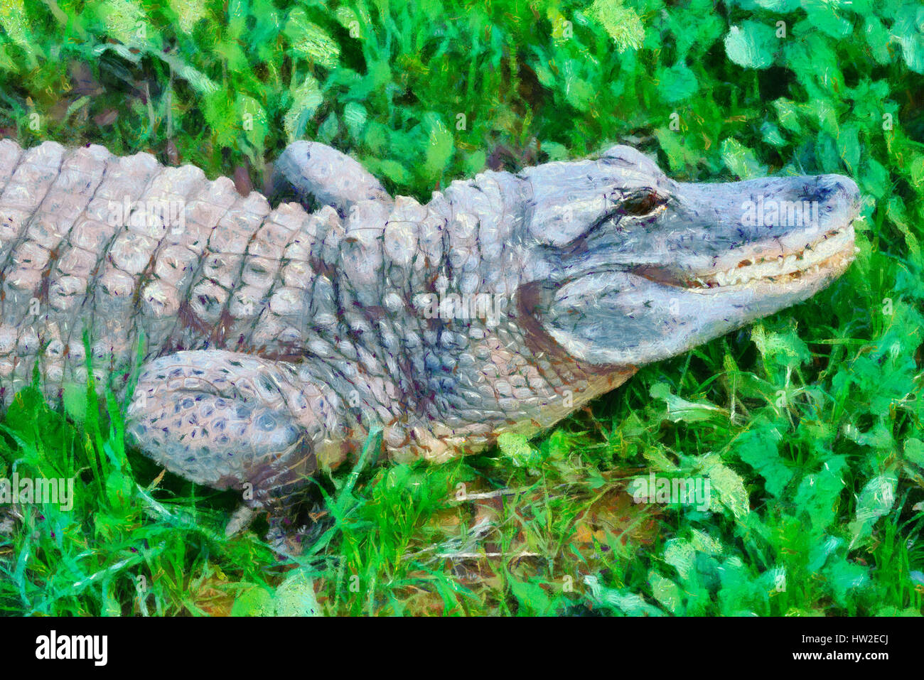 Alligator mouth illustration hi-res stock photography and images - Alamy