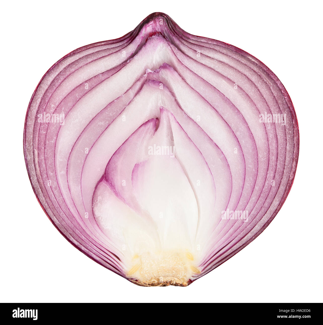 sliced red onions isolated Stock Photo - Alamy