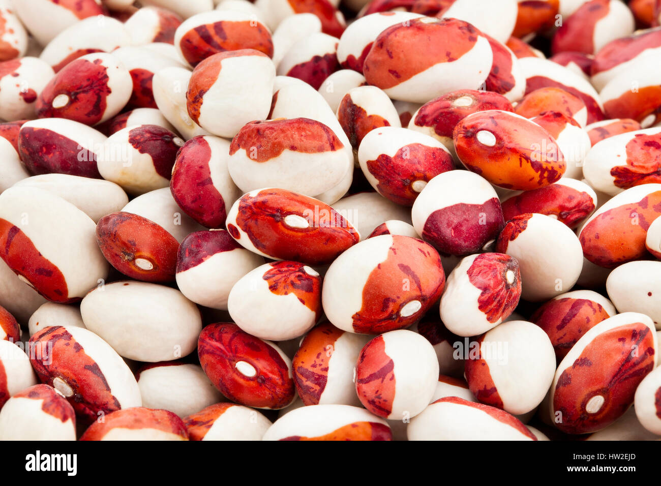 beans legume macro Stock Photo - Alamy