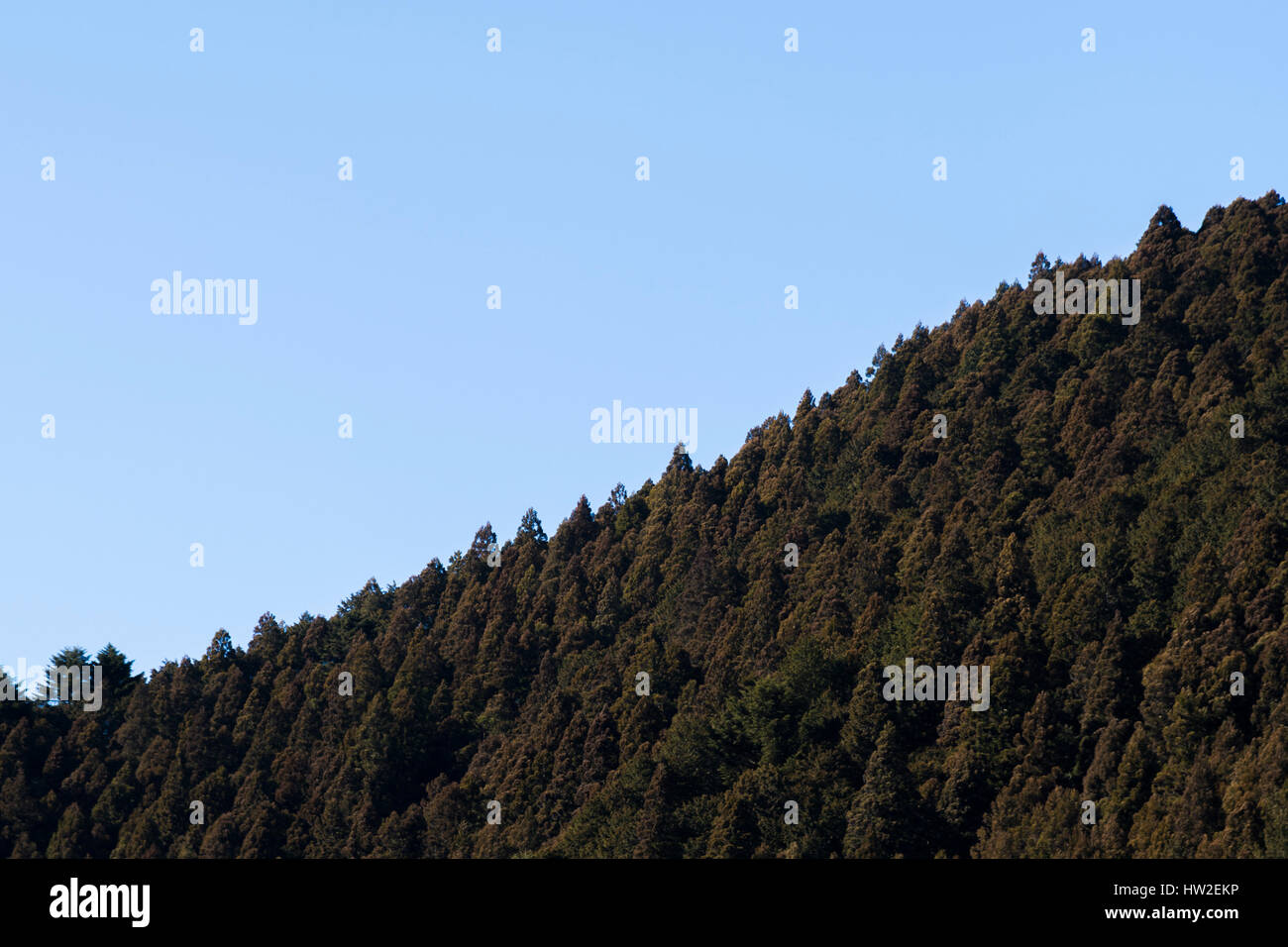 Mountain Ridge, Hinohara Village, Tokyo, Japan Stock Photo - Alamy