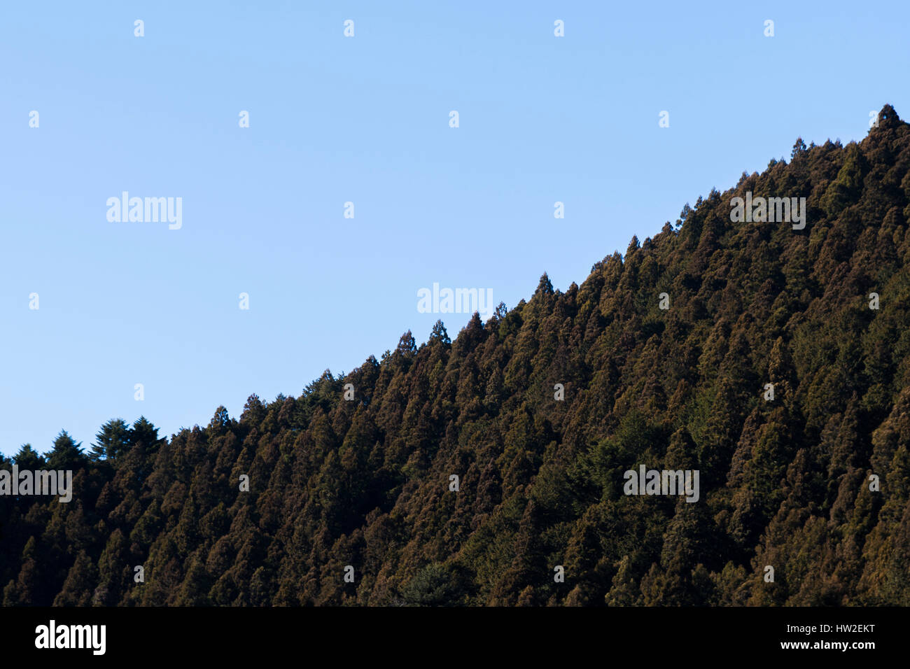 Diagonal ridge hi-res stock photography and images - Alamy