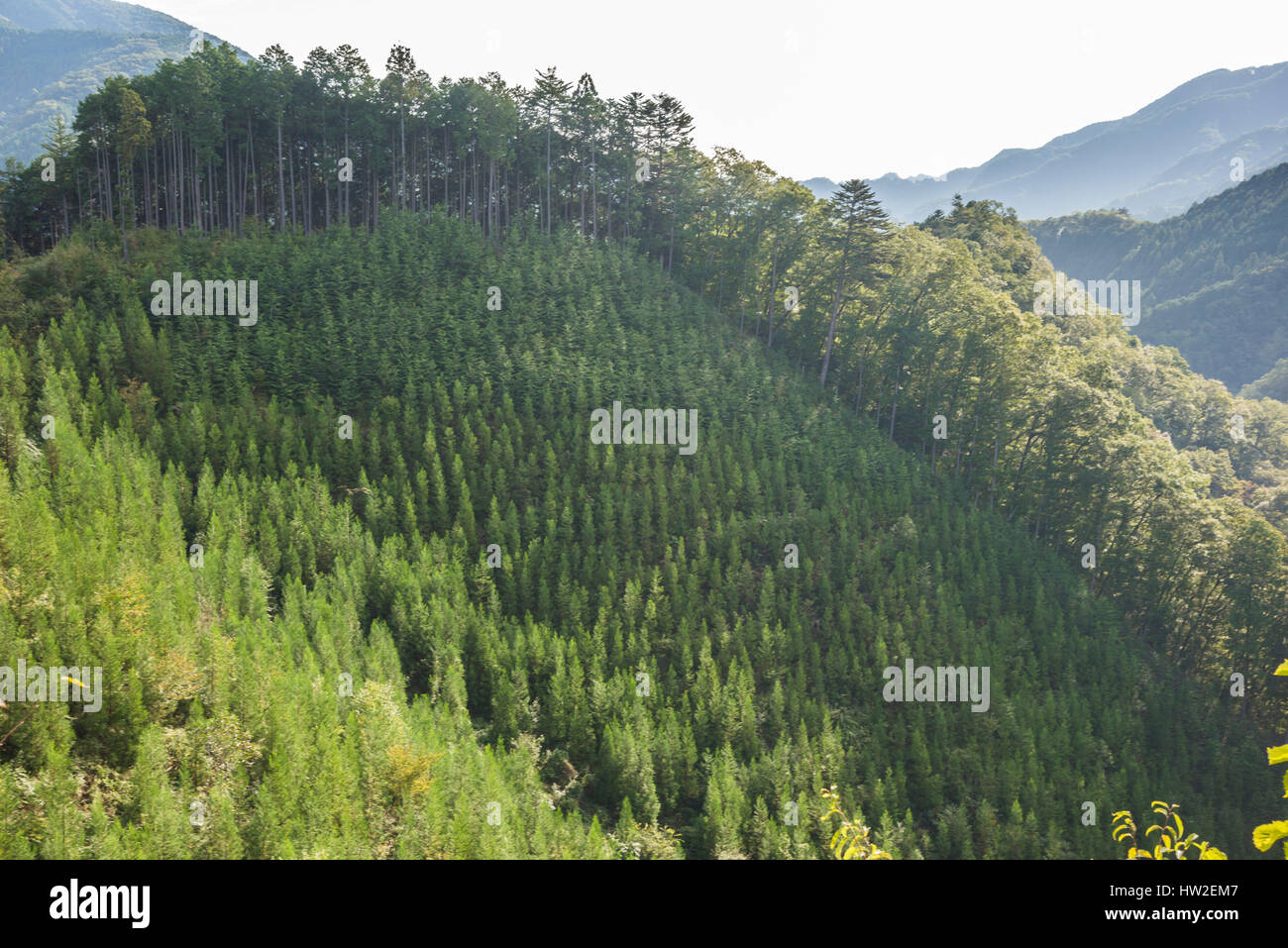 Hinohara Village | 檜原村 地図 : hinohara – NTWD