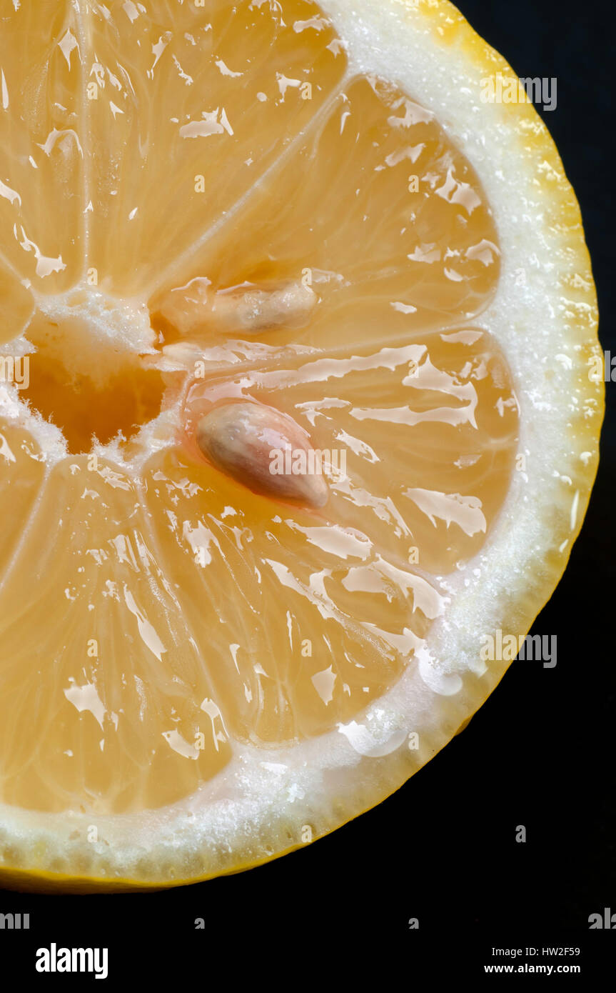 Lemon cross section seed hi-res stock photography and images - Alamy