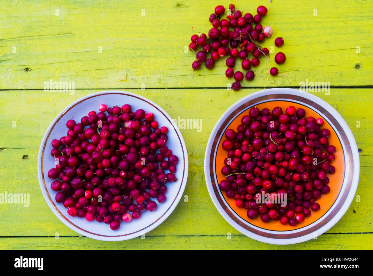 Large group plates hi-res stock photography and images - Alamy