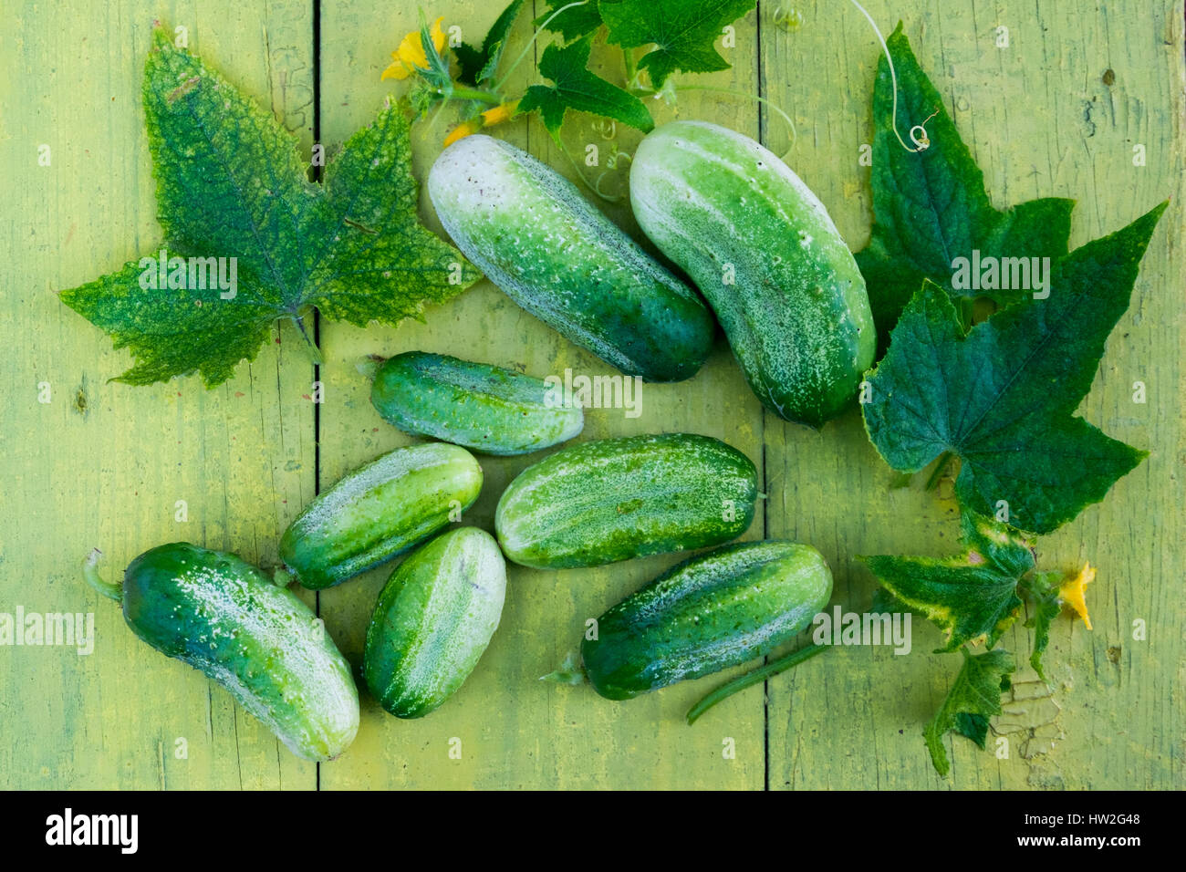 Table of cucumbers hi-res stock photography and images - Alamy