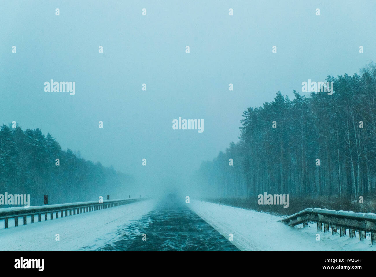 Tree on wind hi-res stock photography and images - Alamy