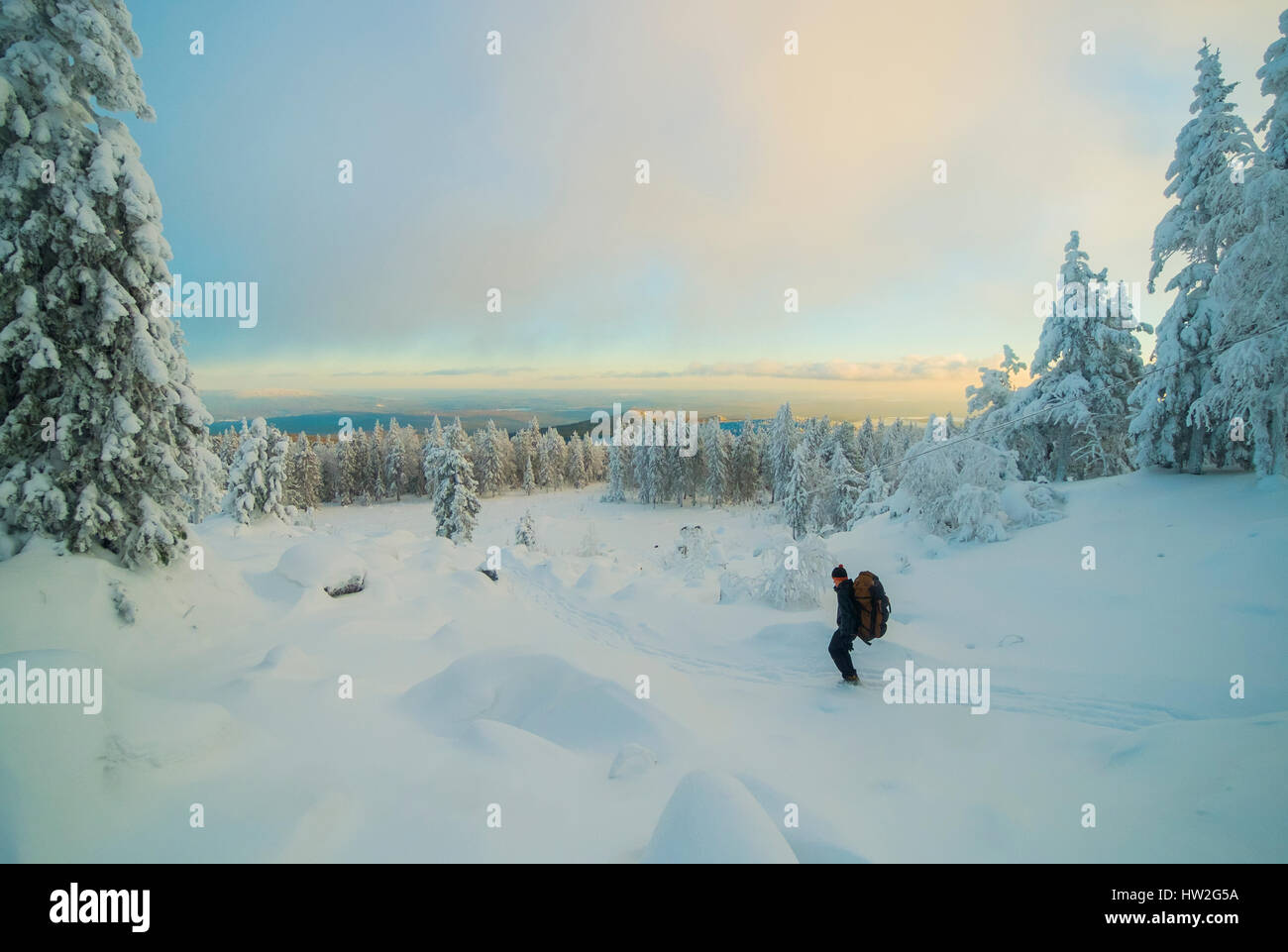 Snowy forest sunset hi-res stock photography and images - Alamy